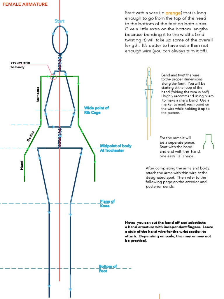Armature | Download Free PDF | Arm | Hand