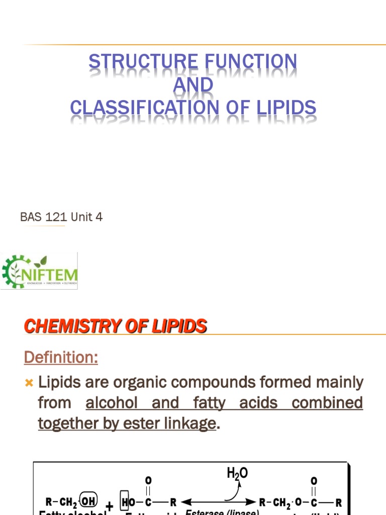 Classification of Lipids | PDF | Triglyceride | Lipid