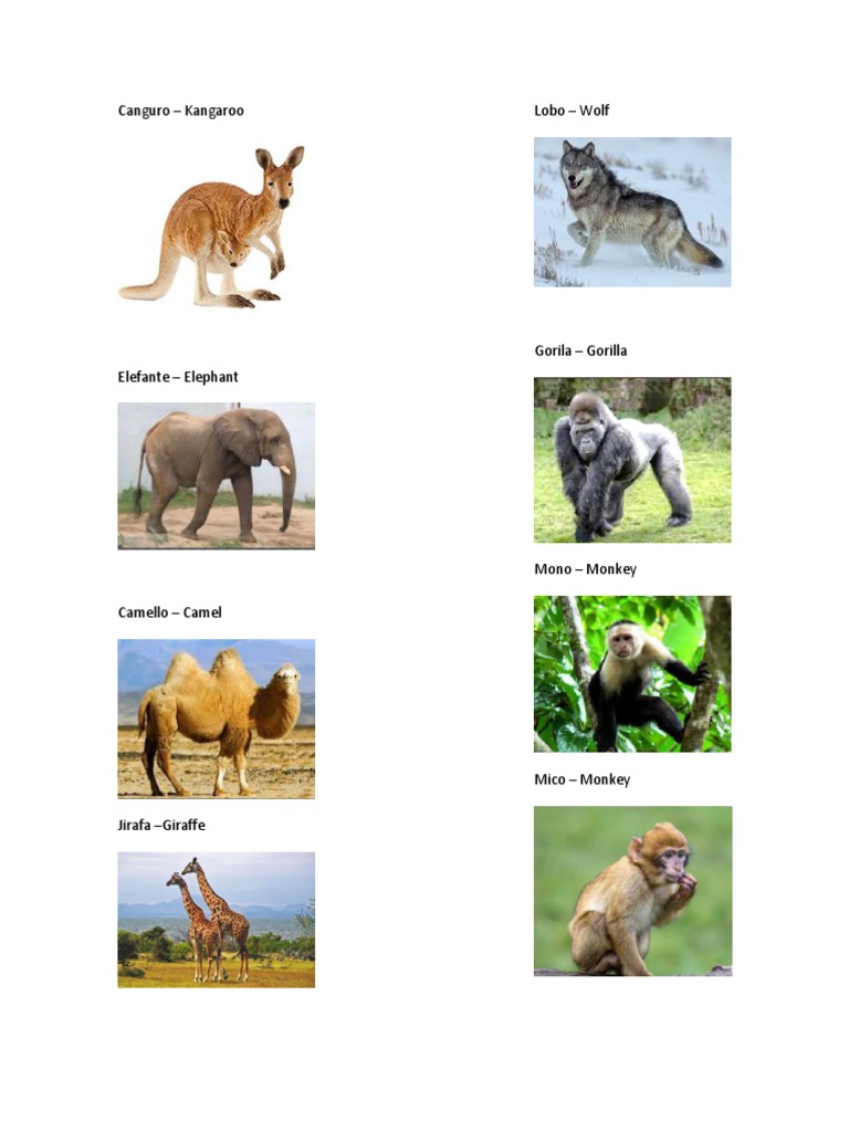 Animales en Ingles | PDF