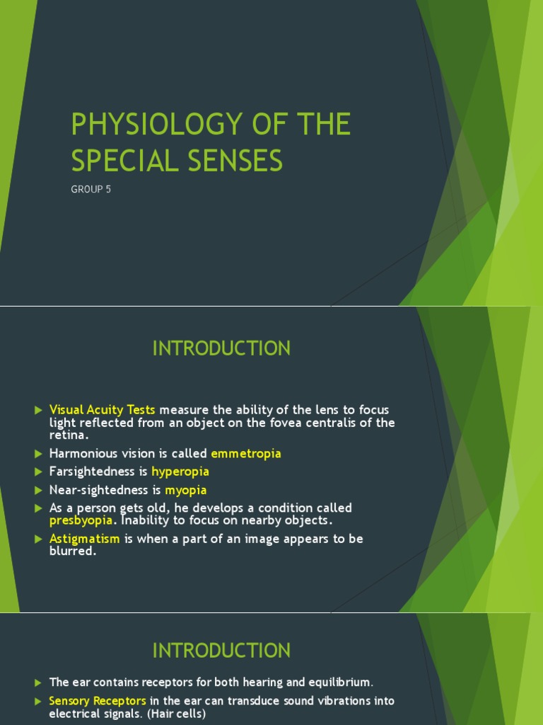 Physiology of The Special Senses | PDF | Senses | Olfaction