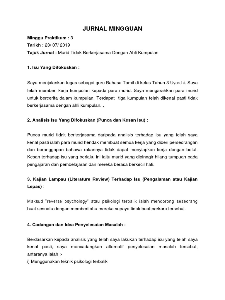 Practicum Journal | PDF