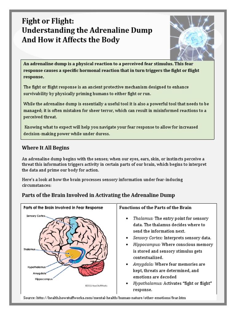 Technical Description: The Fight or Flight Response | PDF | Violence ...