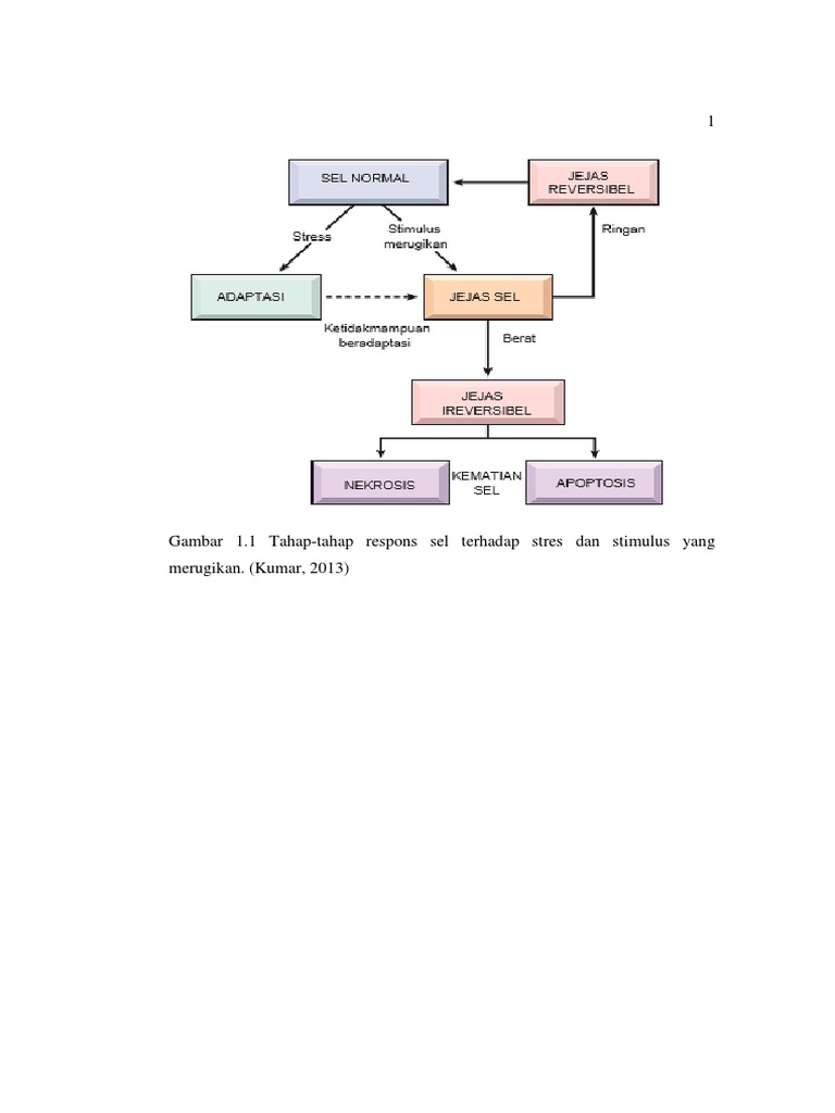 Mekanisme Jejas | PDF