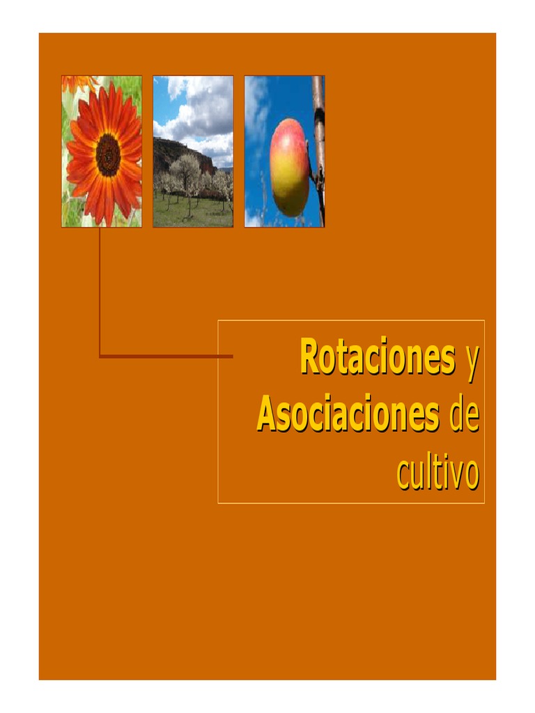 Rotación y Asociación de Cultivos | PDF | La rotación de cultivos ...