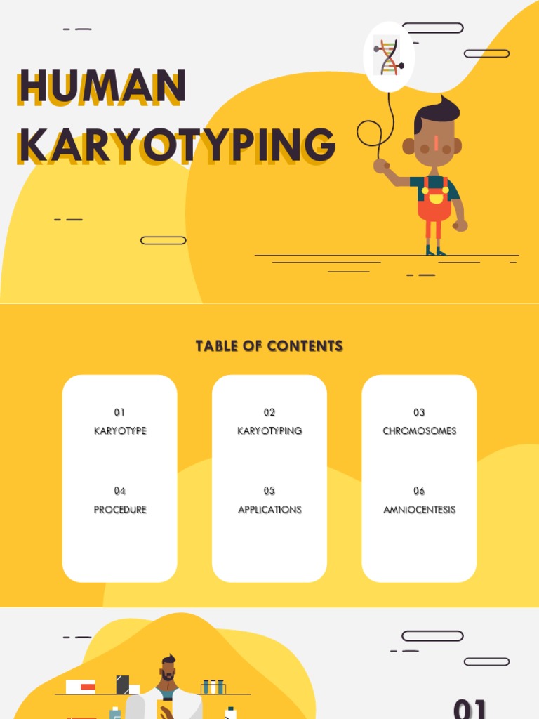 Karyotyping: A Comprehensive Guide to Chromosomal Analysis | PDF ...