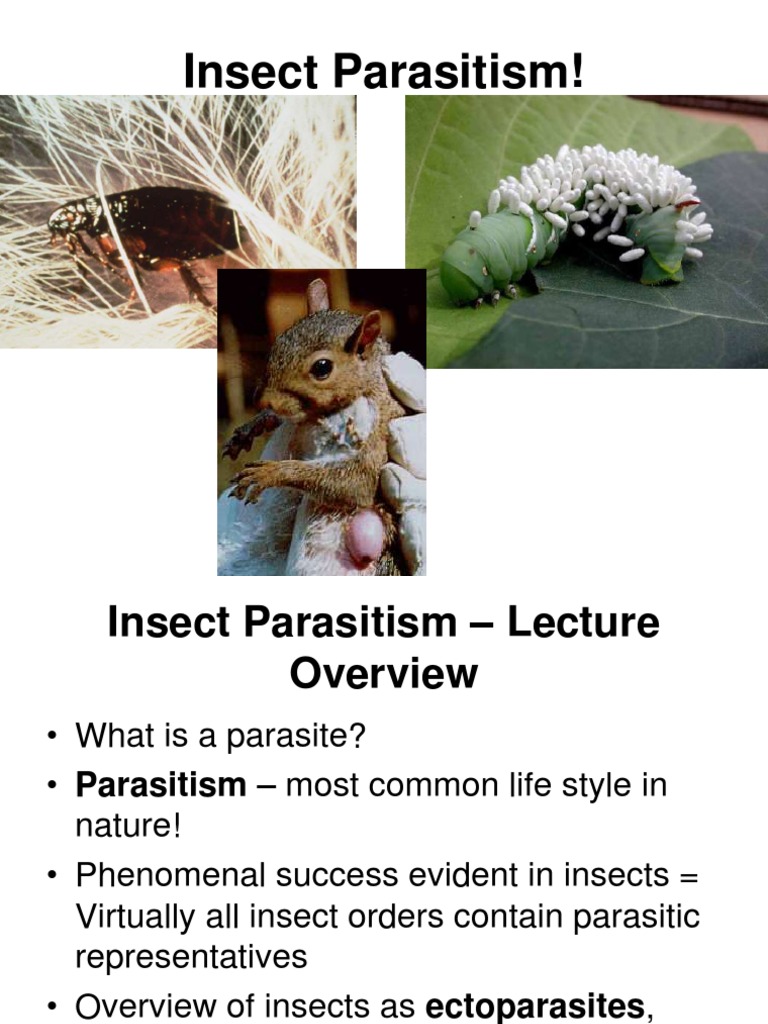 Insect Parasitism 2013 | PDF