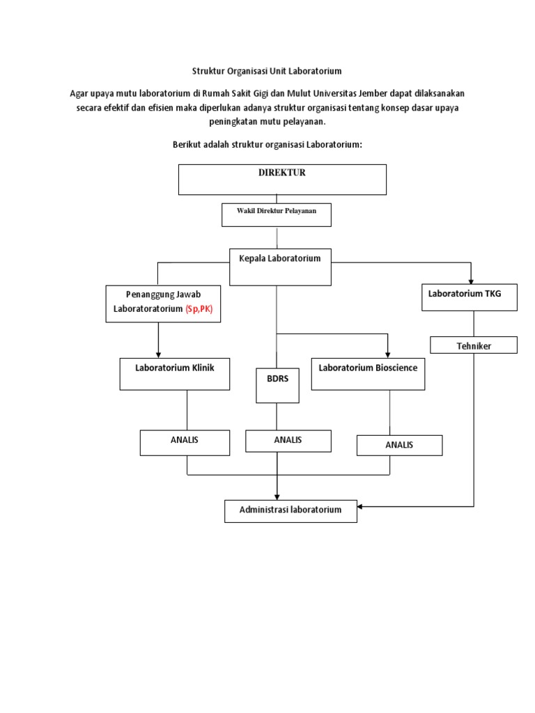 Struktur Organisasi Unit Laboratorium Dan Uraian Tugas | PDF