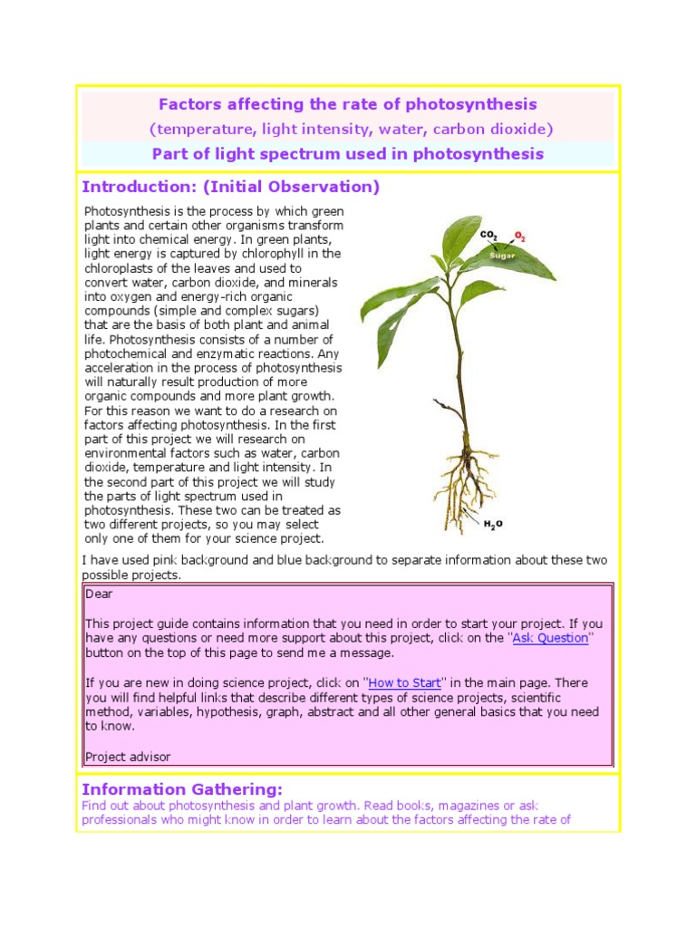 Factors Affecting The Rate of Photosynthesis | PDF | Photosynthesis ...