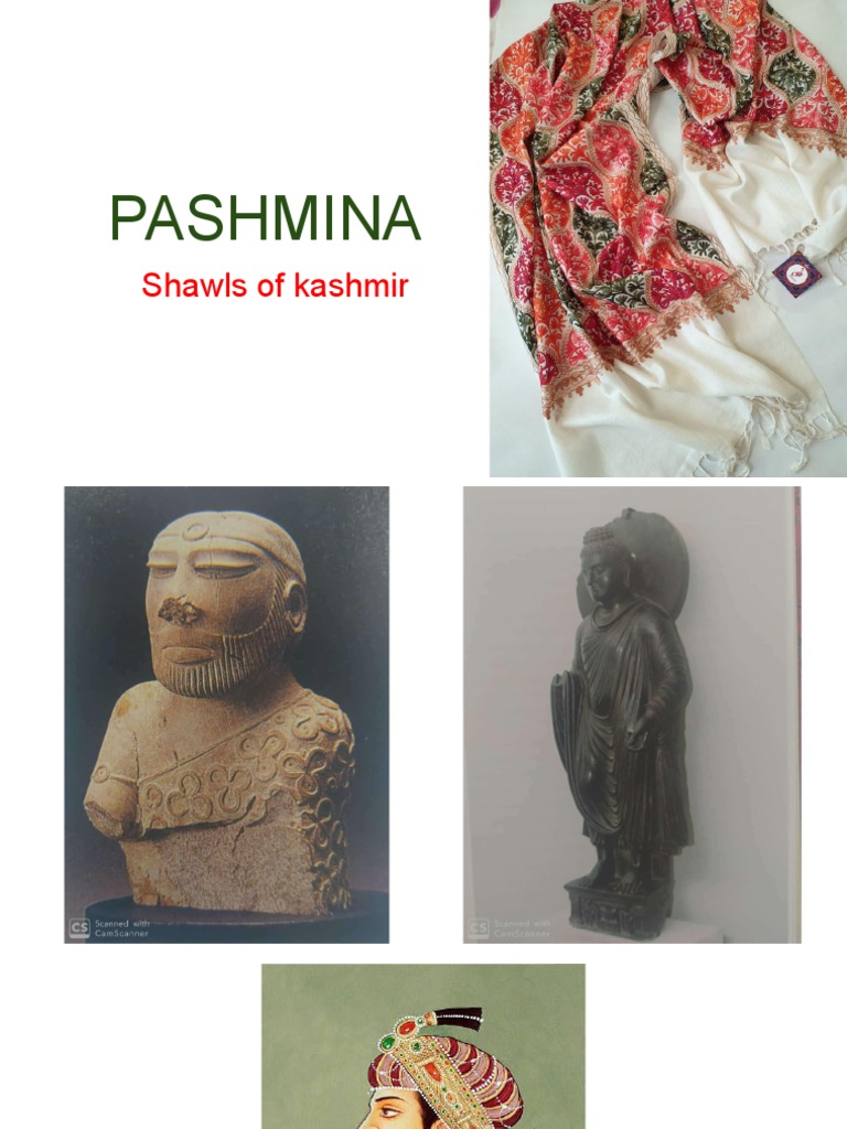 Pashmina | PDF