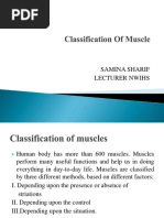 Labster 5 Post Lab | PDF | Muscle Contraction | Skeletal Muscle