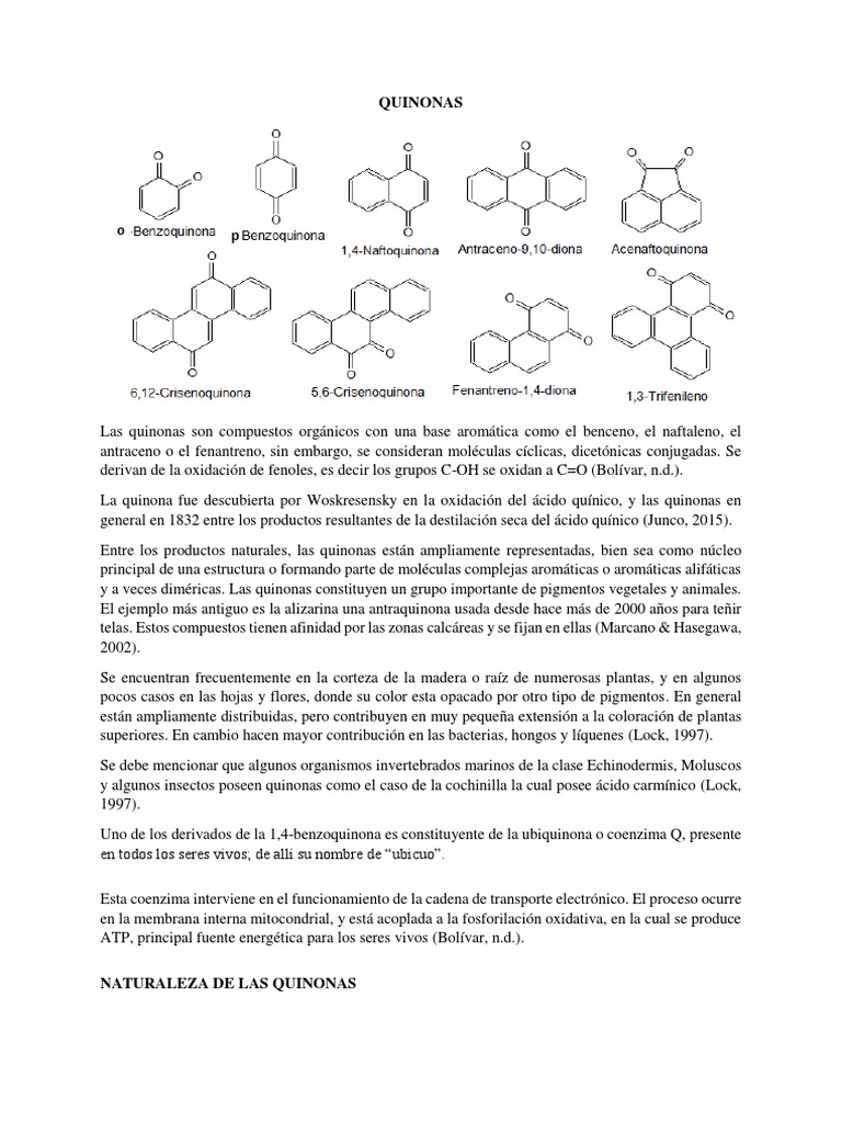 Quinonas | PDF | Fosforilación | Química