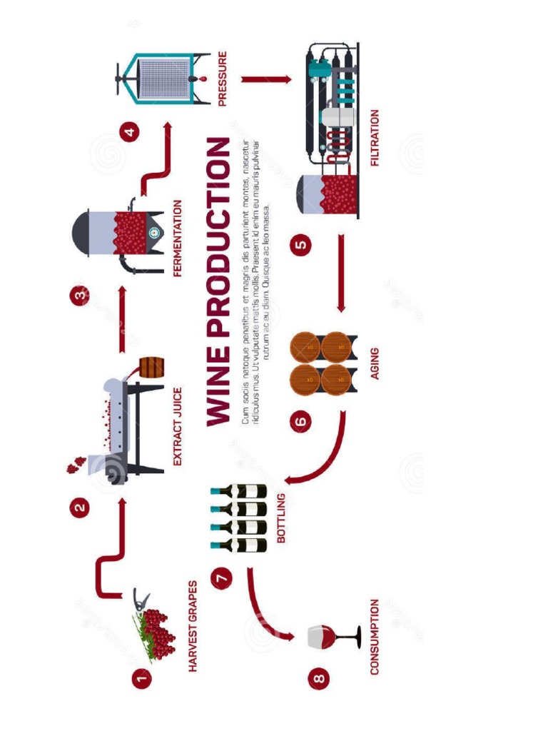 5 Stages of The Wine Making Process | PDF | Winemaking | Fermentation In Winemaking
