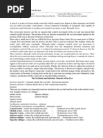 Examples of Physical Characteristics in Humans | PDF | Eye Color | Face