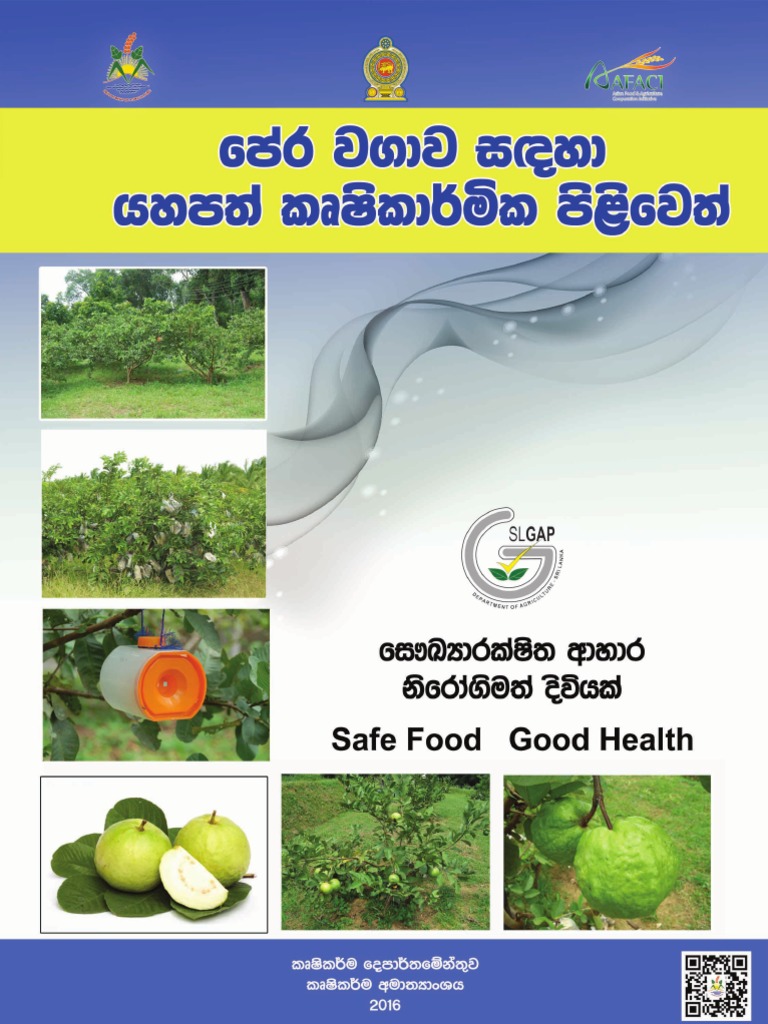 Pera GAP PDF | PDF | Science & Mathematics