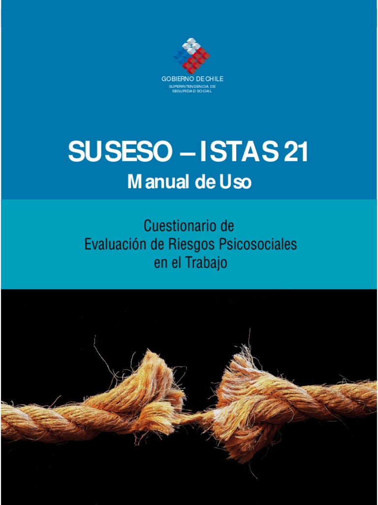 SUSESO ISTAS 21 - Manual - Versión Breve PDF | PDF