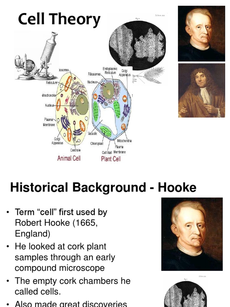 Cell Theory | PDF | Microscope | Cell (Biology)