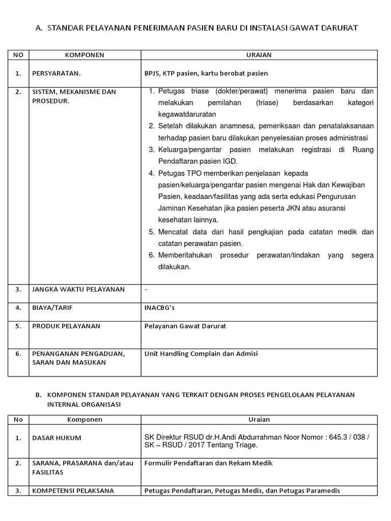 FORMAT STANDAR PELAYANAN Penerimaan Pasien Baru IGD | PDF