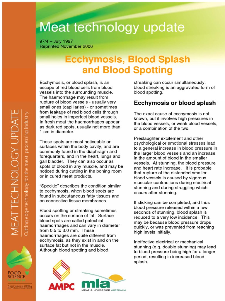 Ecchymosis in Meat: Causes and Prevention | PDF | Blood Vessel | Blood
