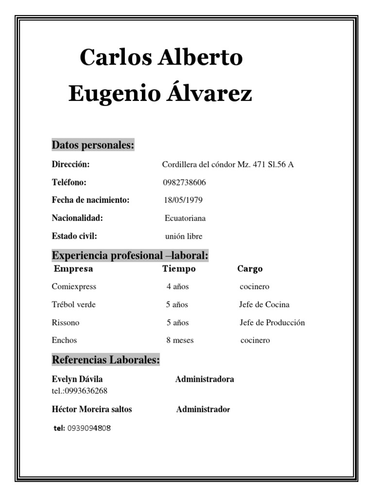 Curriculum VITAE DE CARLOS | PDF