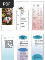 Leaflet Diet TKTP | PDF