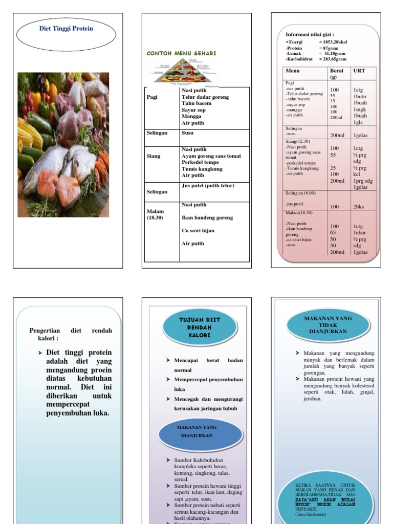Leaflet Tinggi Protein | PDF