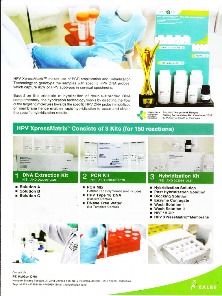 Brosur KIT HPV DNA | PDF | Cervical Cancer | Polymerase Chain Reaction