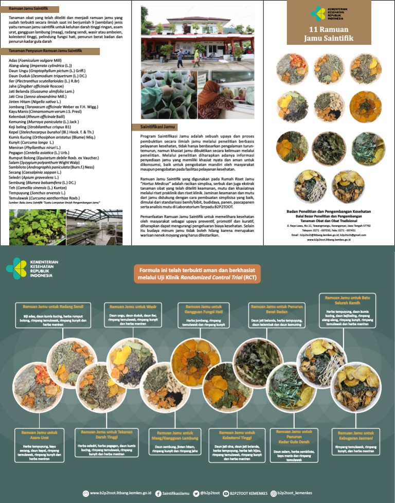 Leaflet Ramuan Jamu Saintifik PDF | PDF