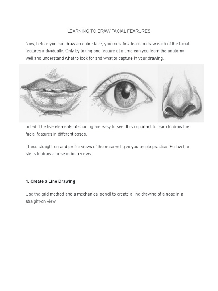 Drawing Facial Features Worksheet