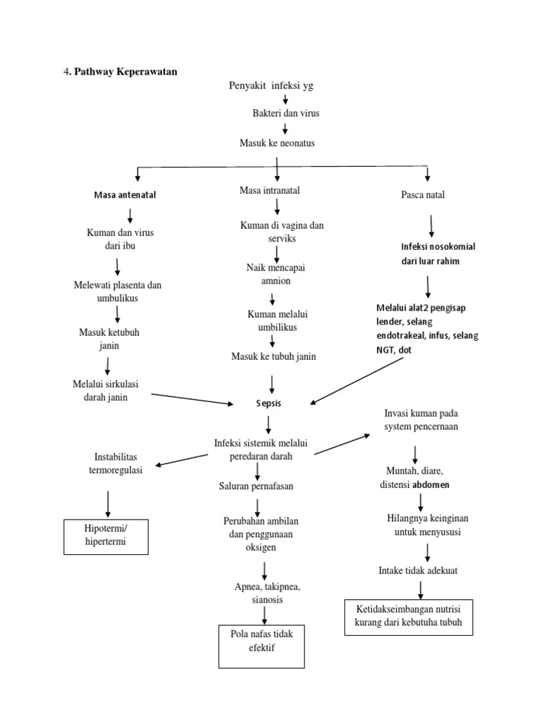 Pathway Sepsis Neonatorum War | PDF