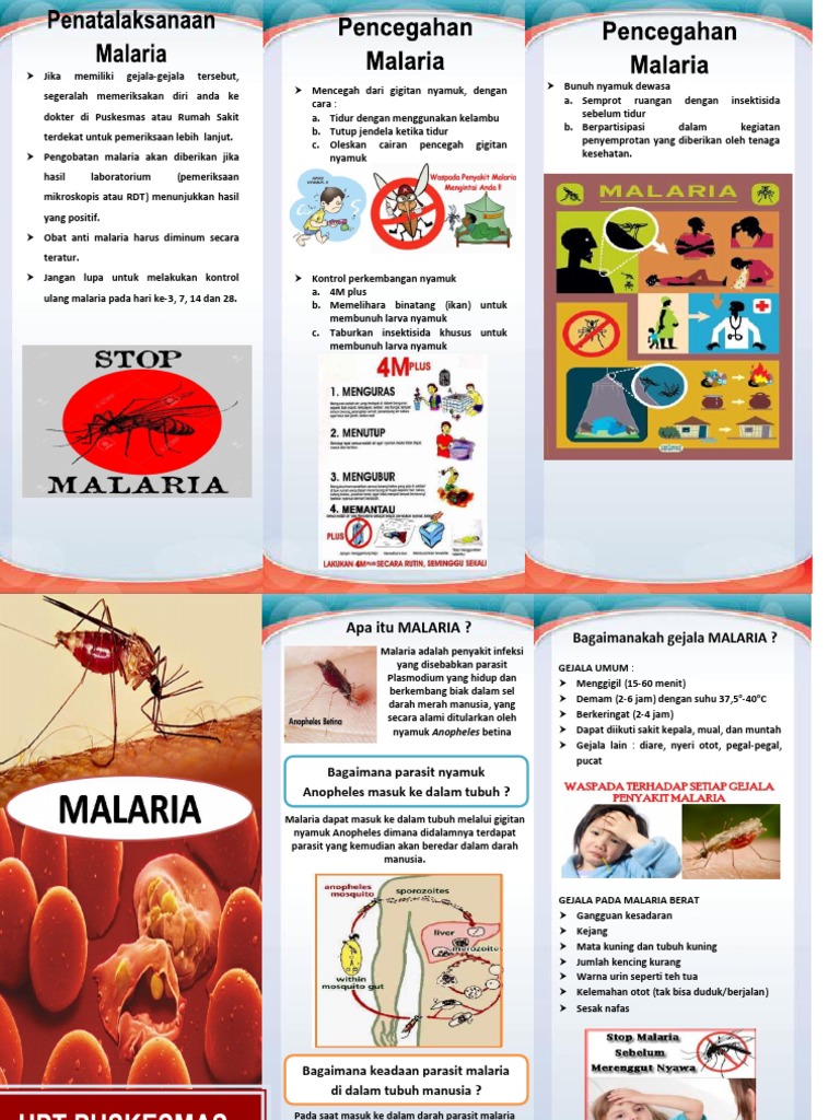 Pencegahan dan Gejala Malaria | PDF