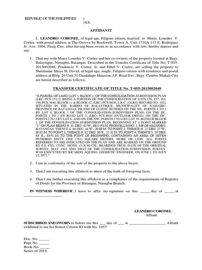 Affidavit - Leandro Coronel | PDF | Affidavit | Civil Law (Common Law)