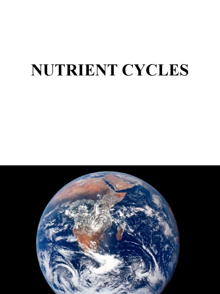 Nutrient Cycles | PDF | Ecosystem | Soil