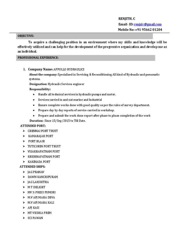 Renjith C | PDF | Career & Growth