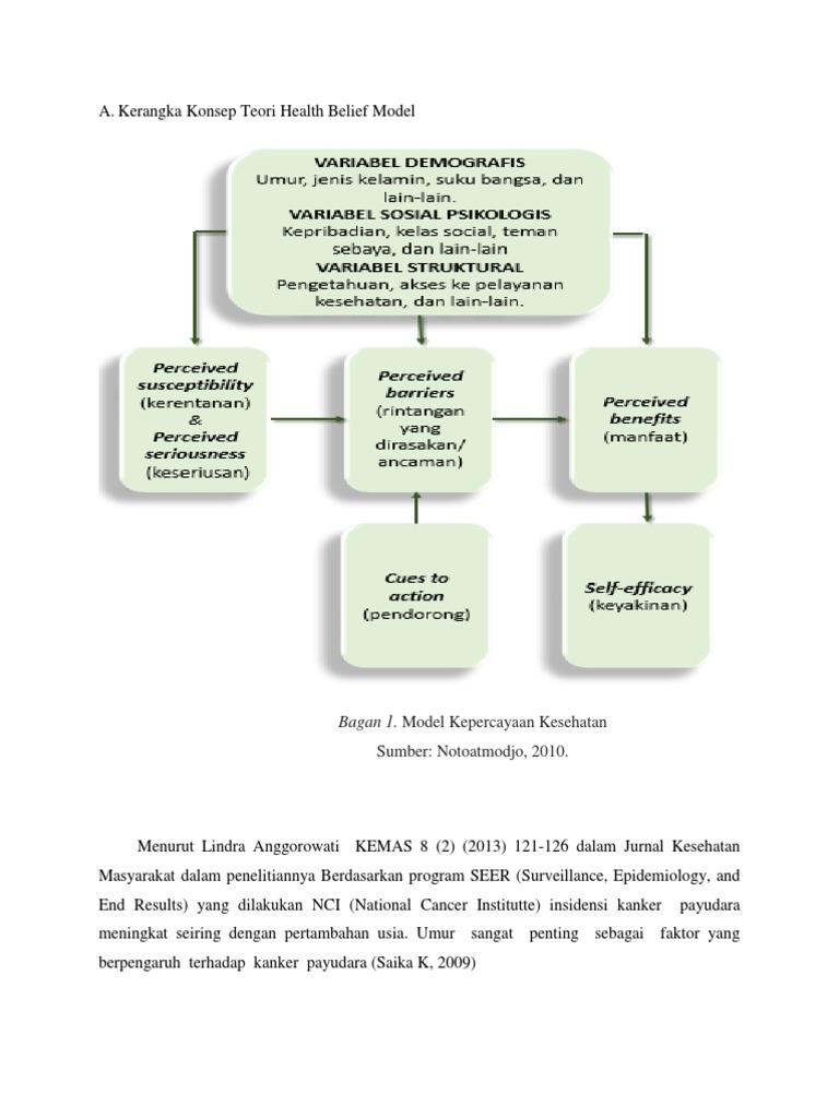 Kerangka Konsep Teori Health Belief Model | PDF