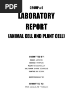 Practical 1 Microscope | PDF | Experiment | Microscope