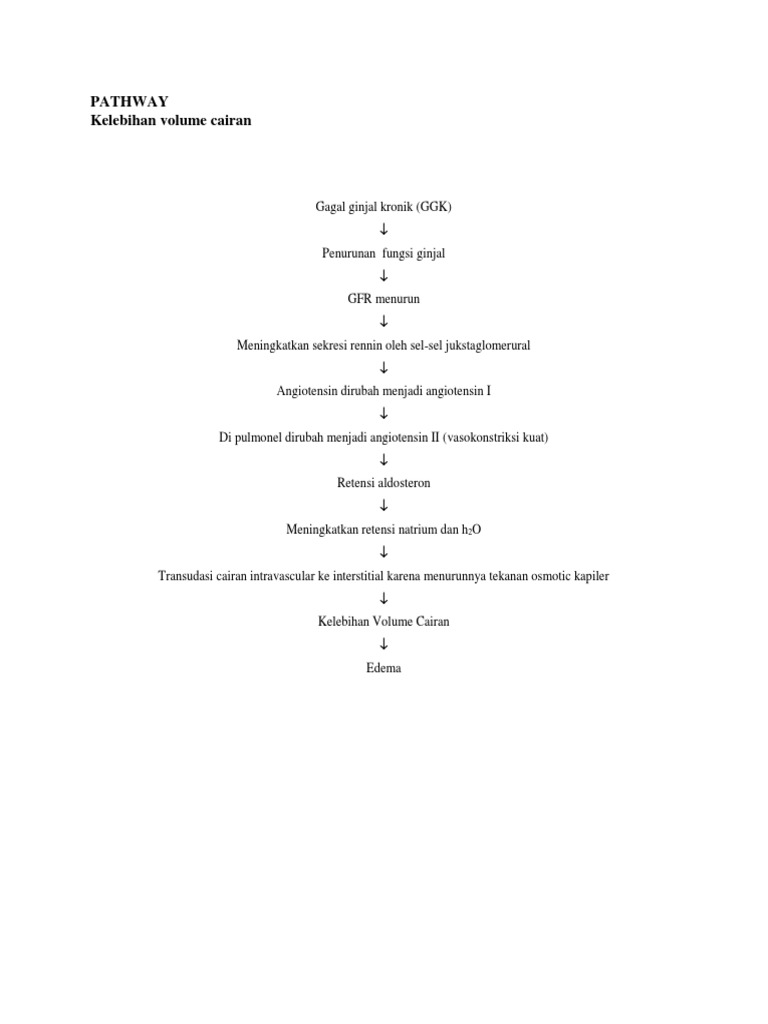 Pathway Kelebihan Volume Cairan GGK | PDF