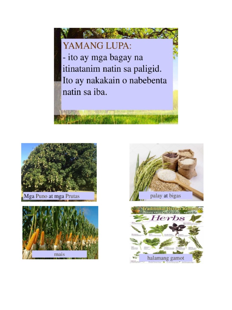 Yamang Lupa