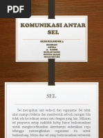 Sinaps: Jenis, Fungsi, dan Mekanisme | PDF