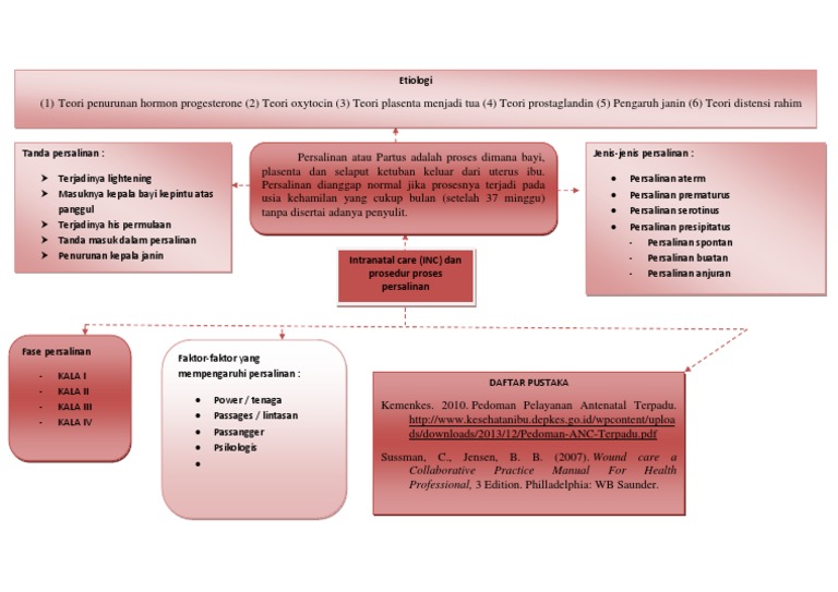 Mapping Intra Natal Care Dan Roses Persalinan | PDF