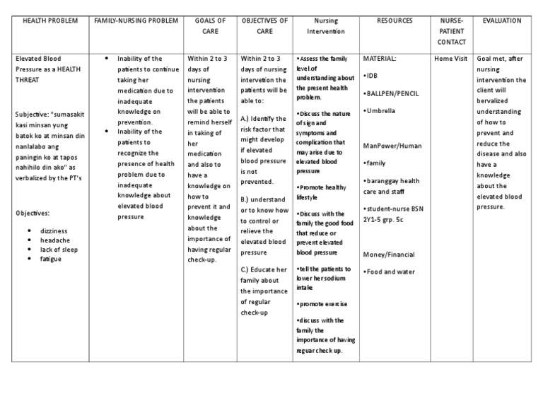 FNCP | PDF | Physical Examination | Nursing