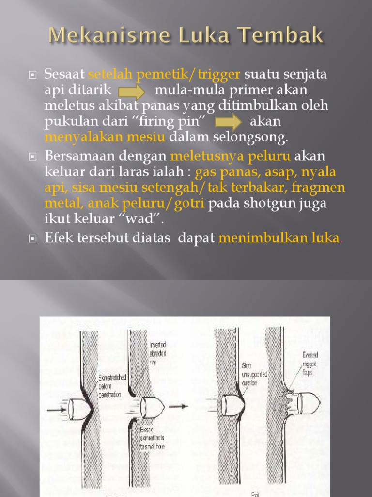 Mekanisme Luka Tembak | PDF