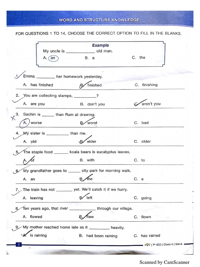 Class 4 IEO 2016 Set A | PDF