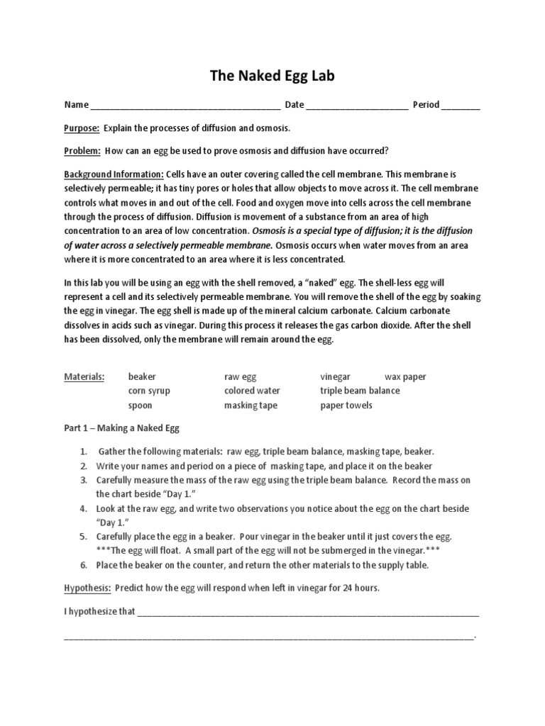 The Naked Egg Lab | PDF | Osmosis | Cell Membrane