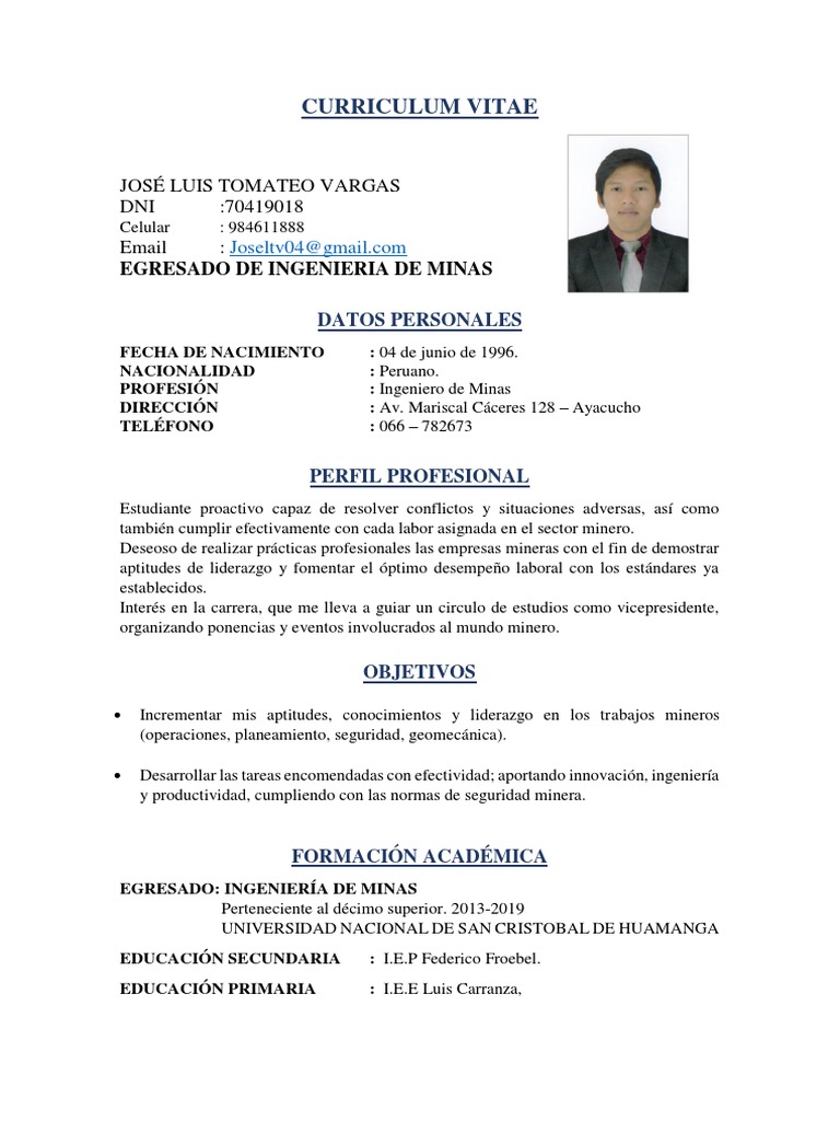 Curriculum Vitae Jose Luis Tomateo Vargas PDF | PDF | Ingeniería | Minería