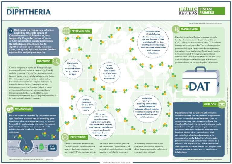 Diphtheria | PDF | Infection | Vaccines