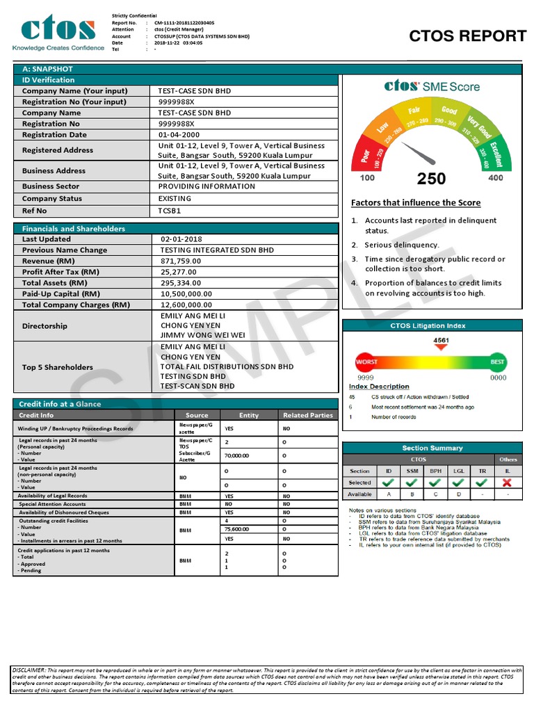 CTOS SME Score Report Company Sample | PDF | Dividend | Credit Card
