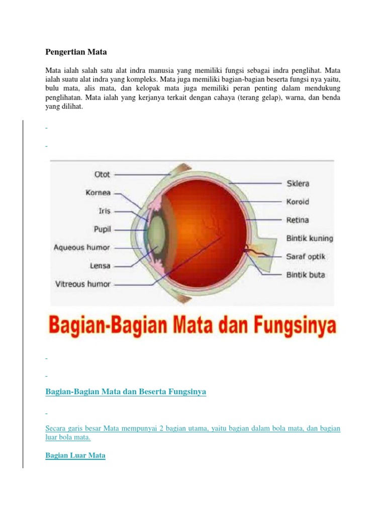Bagian dan Fungsi Mata Manusia | PDF | Kesehatan Holistik