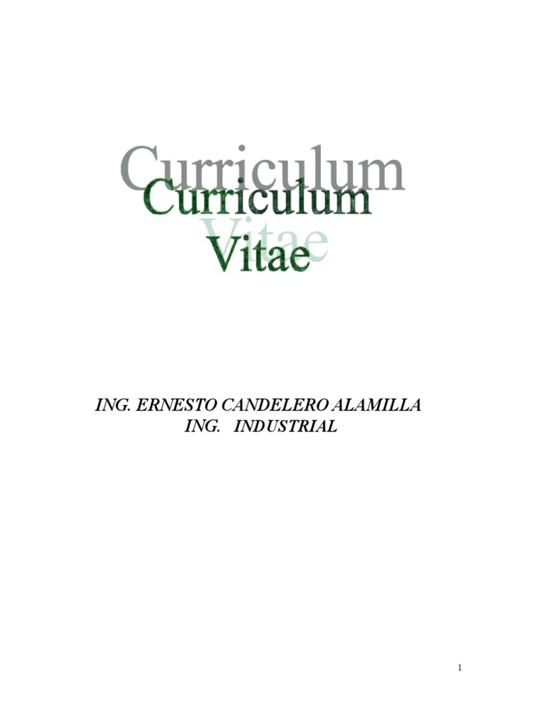 Curriculum Vitae Ernest | PDF