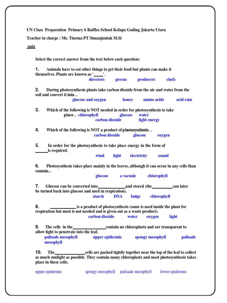 Quiz Part of Plants and Photosyntesa P6 | PDF | Photosynthesis | Leaf