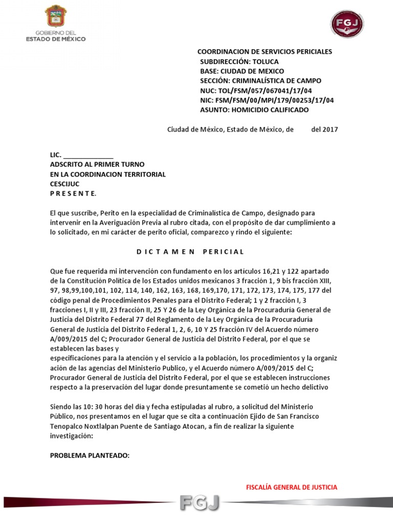 Dictamen Pericial | PDF | Ciudad de México | Ley Pública